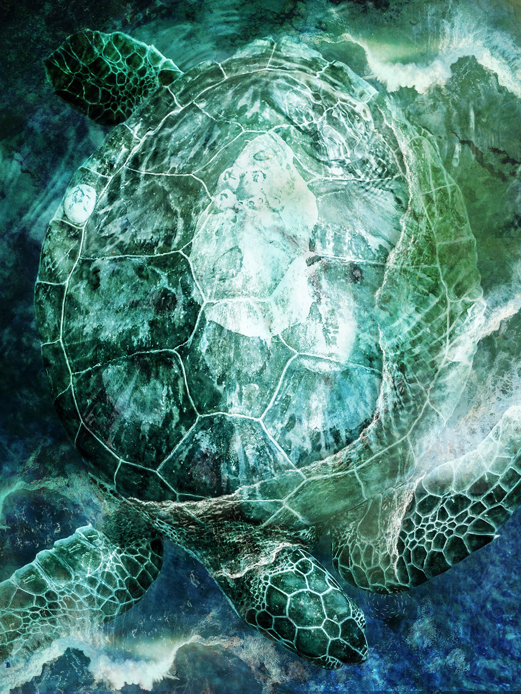 Turtle Island - Digital Map – GAMETEEUK