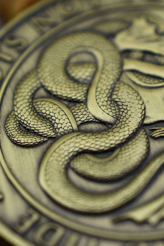 Coin of Fate – GAMETEEUK